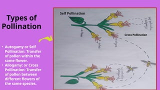 POLLINATION- TYPES, AGENTS AND IMPORTANCE.pptx