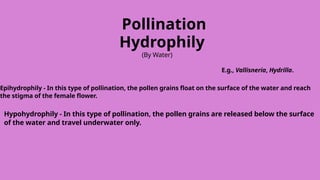 POLLINATION- TYPES, AGENTS AND IMPORTANCE.pptx