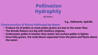 POLLINATION- TYPES, AGENTS AND IMPORTANCE.pptx