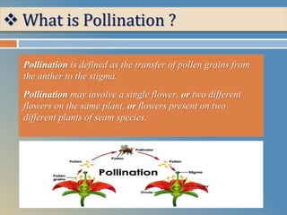Pollination : Types and significance | PPTX