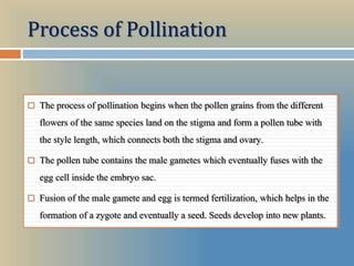 Pollination : Types and significance | PPTX