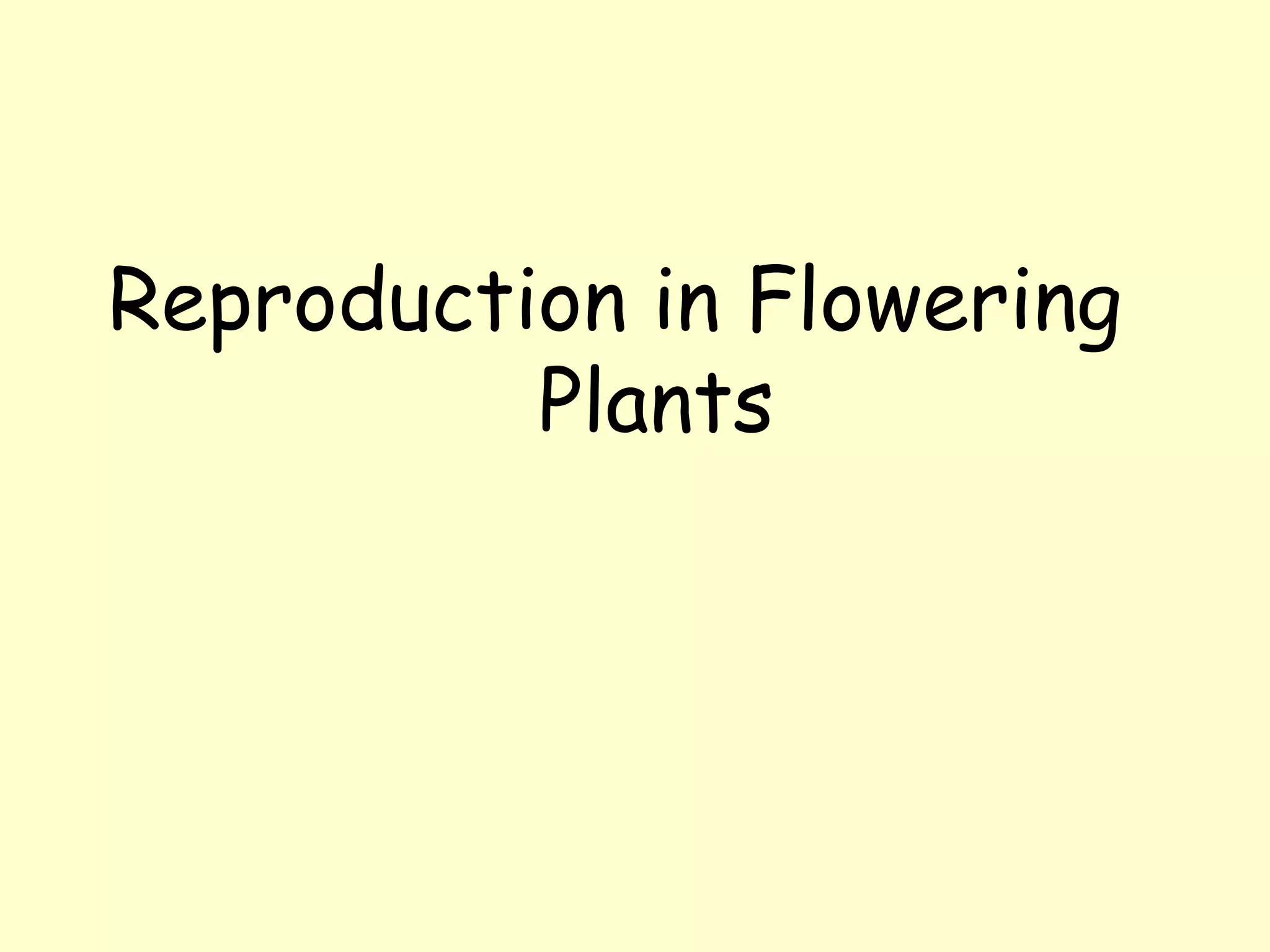 Pollination and fertilisation in flowers GCSE | PPT