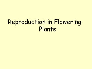 Pollination and fertilisation in flowers GCSE | PPT