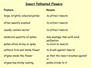 Pollination | PPT