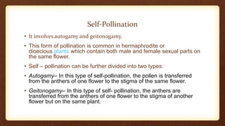 Pollination and fertilization | PPTX