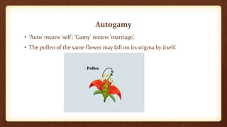 Pollination and fertilization | PPTX