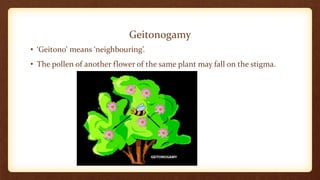 Pollination and fertilization | PPTX