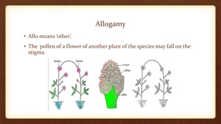 Pollination and fertilization | PPTX