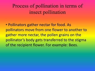 Pollination and fertilization | PPTX