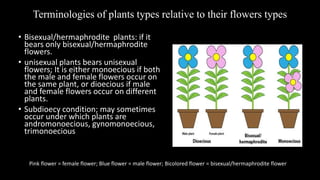 Pollination and fertilization in plant breeding (age6110 | PPTX ...