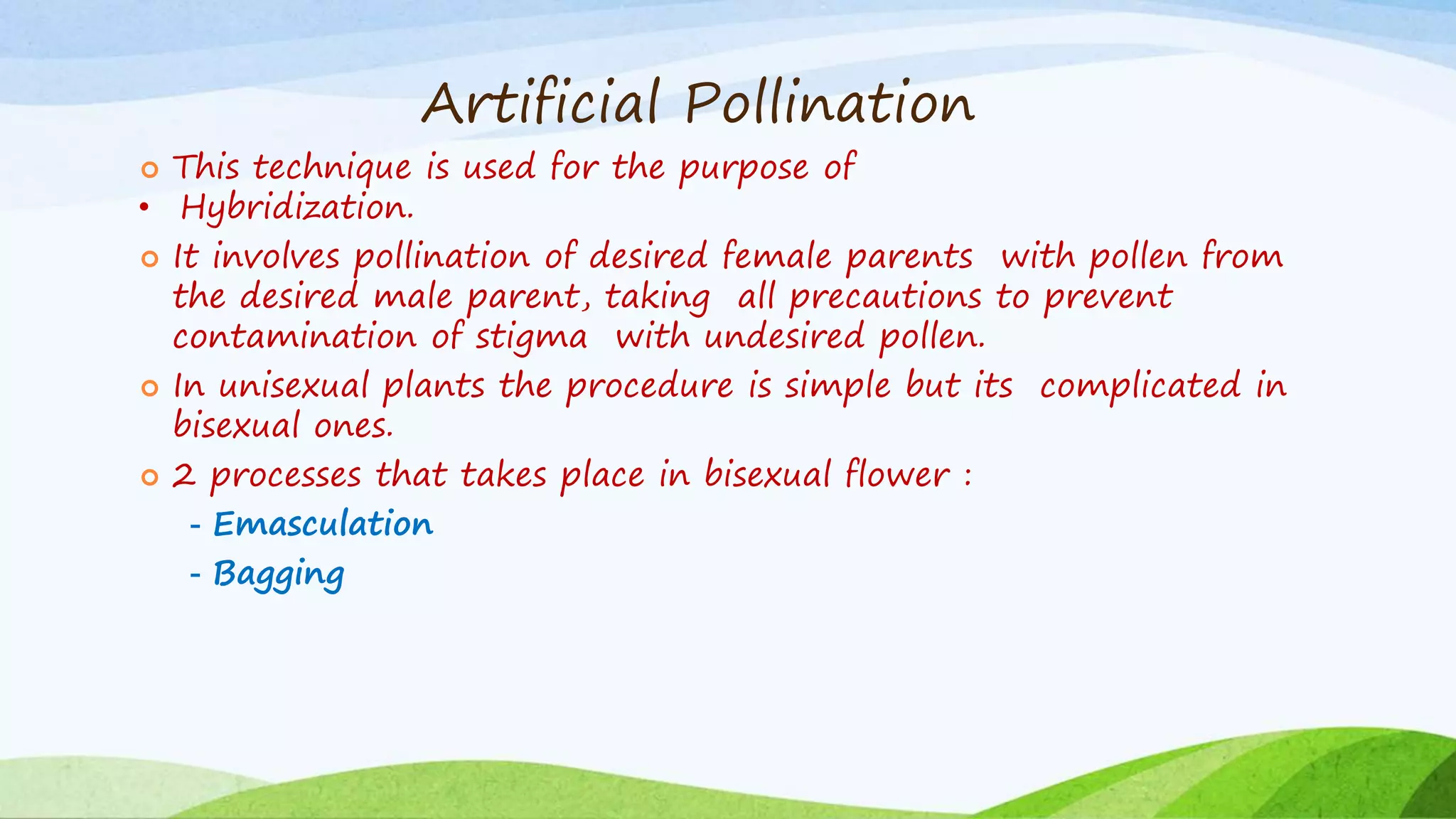 Pollination.pptx