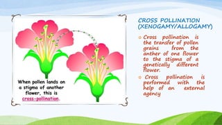 Pollination.pptx