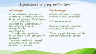 Pollination.pptx