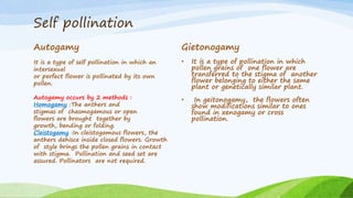 Pollination.pptx