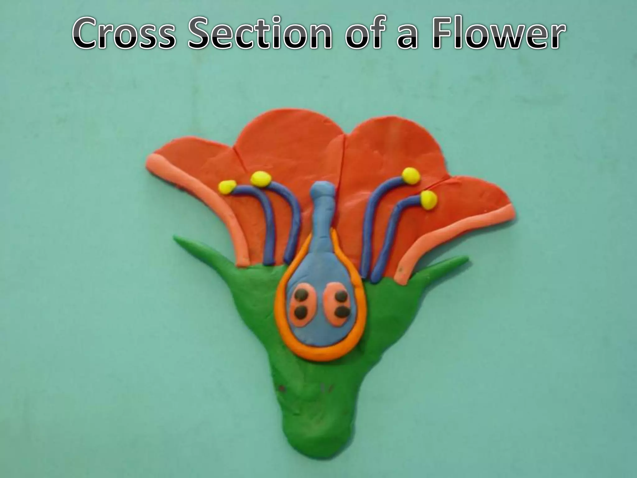 Example of a Claymation | PPT