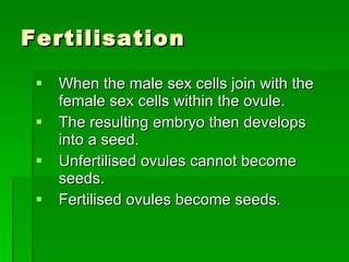 Pollination, fertilisation and germination | PPT