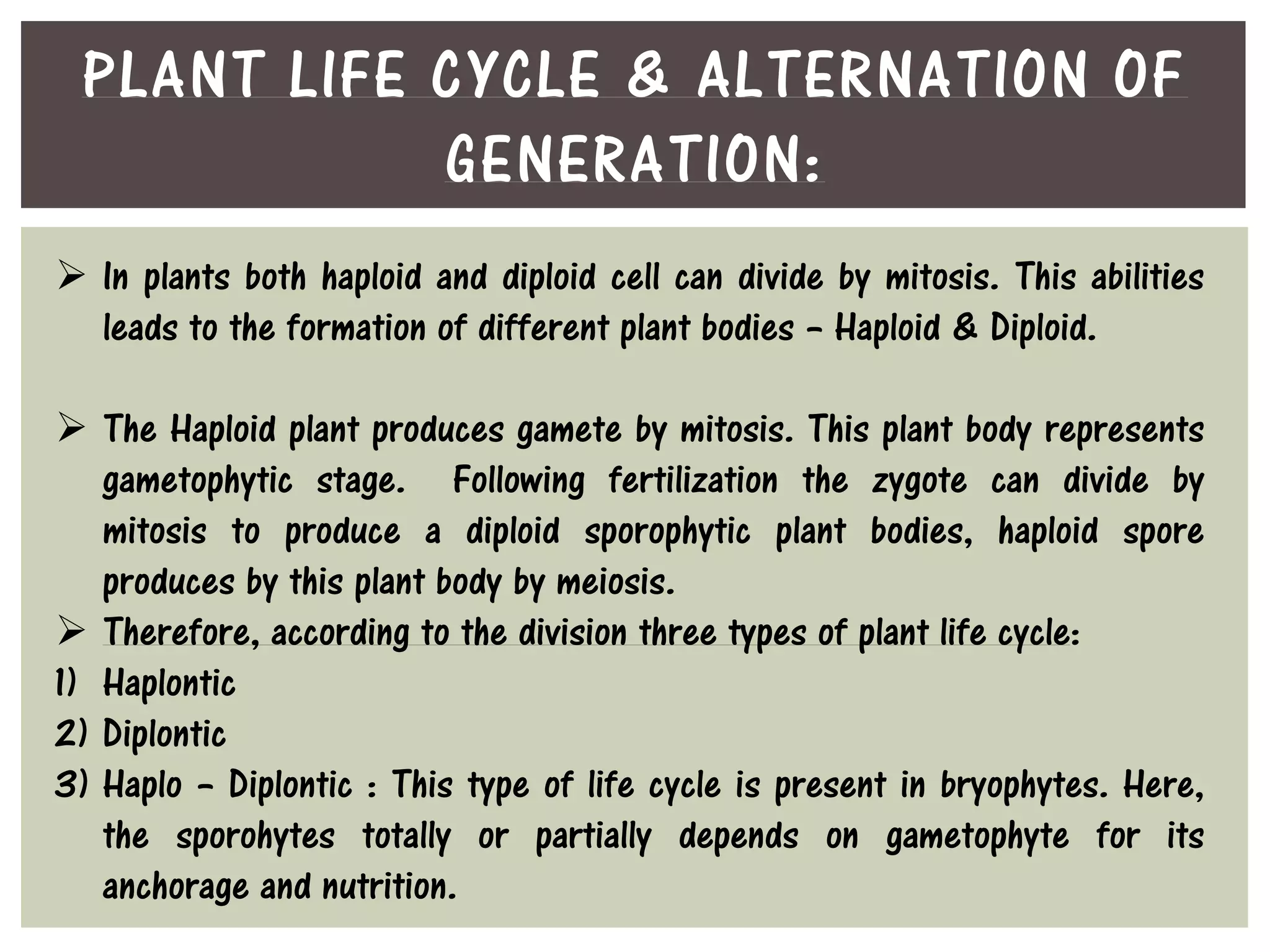 Pollination & Fertilization in Plants | PDF