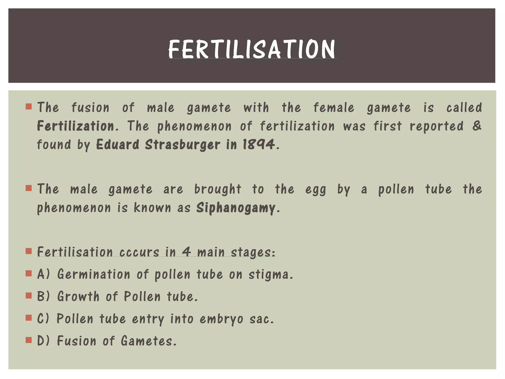 Pollination & Fertilization in Plants | PDF