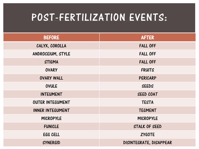 Pollination & Fertilization in Plants | PDF