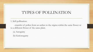PLLINATION AND FERTILIZATION | PDF