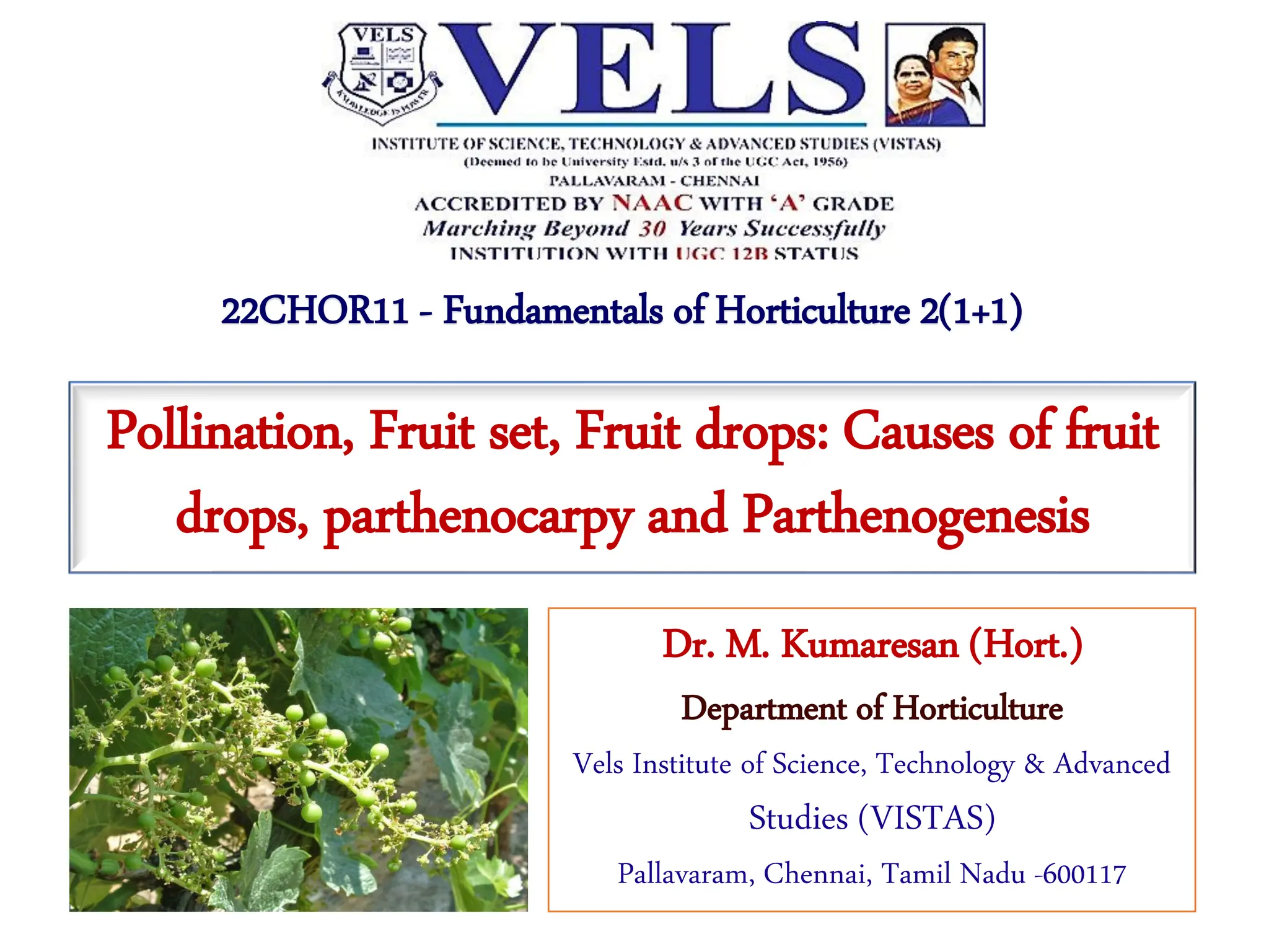 Pollination, Fruit set, Fruit drops, Causes of fruit drops, parthenocarpy and Parthenogenesis.pdf