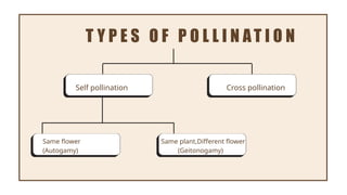 Pollination it's types and agents . pptx | PPTX