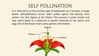 Pollination it's types and agents . pptx | PPTX