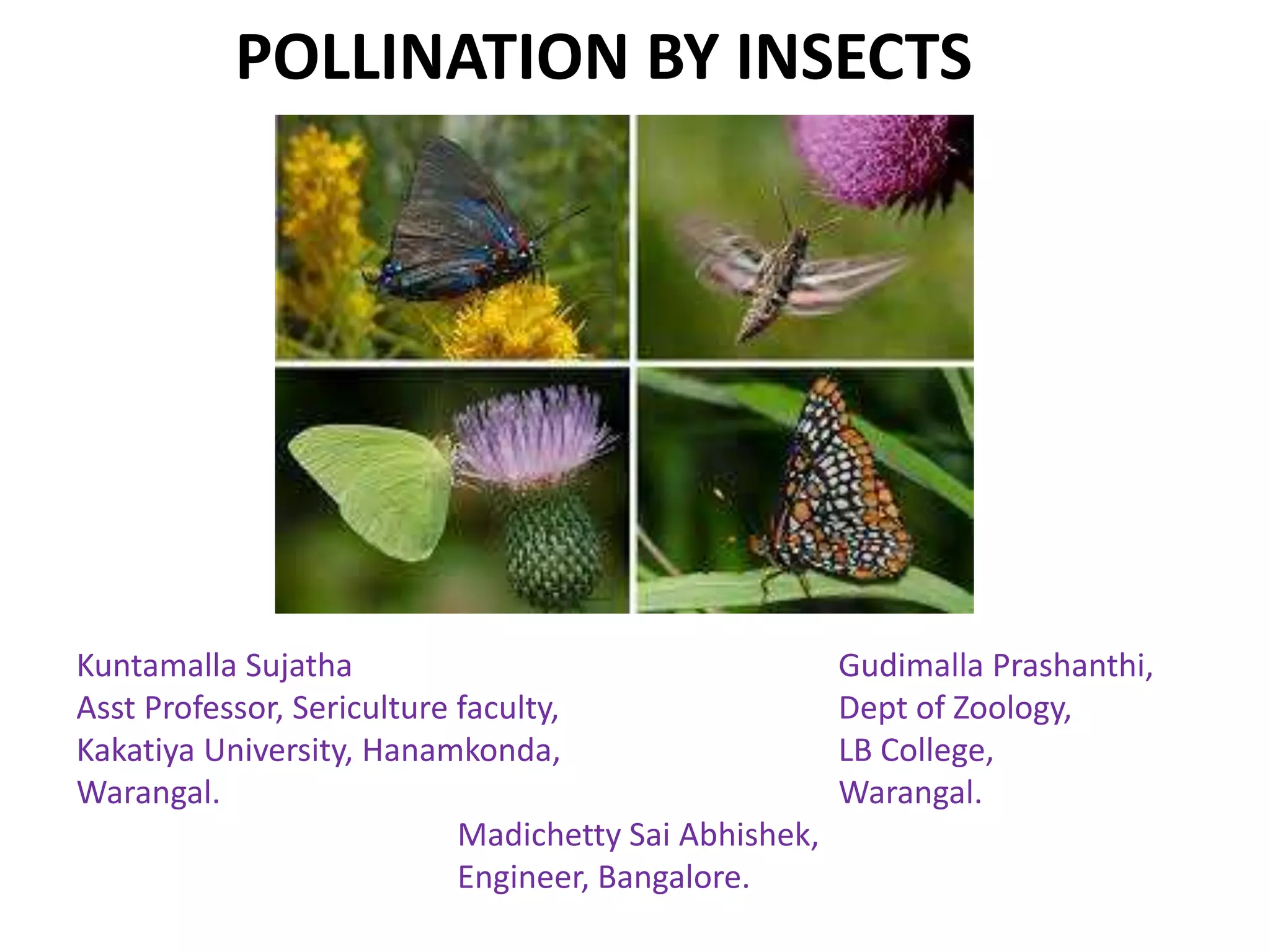 Pollination of crops by Insects.pptx