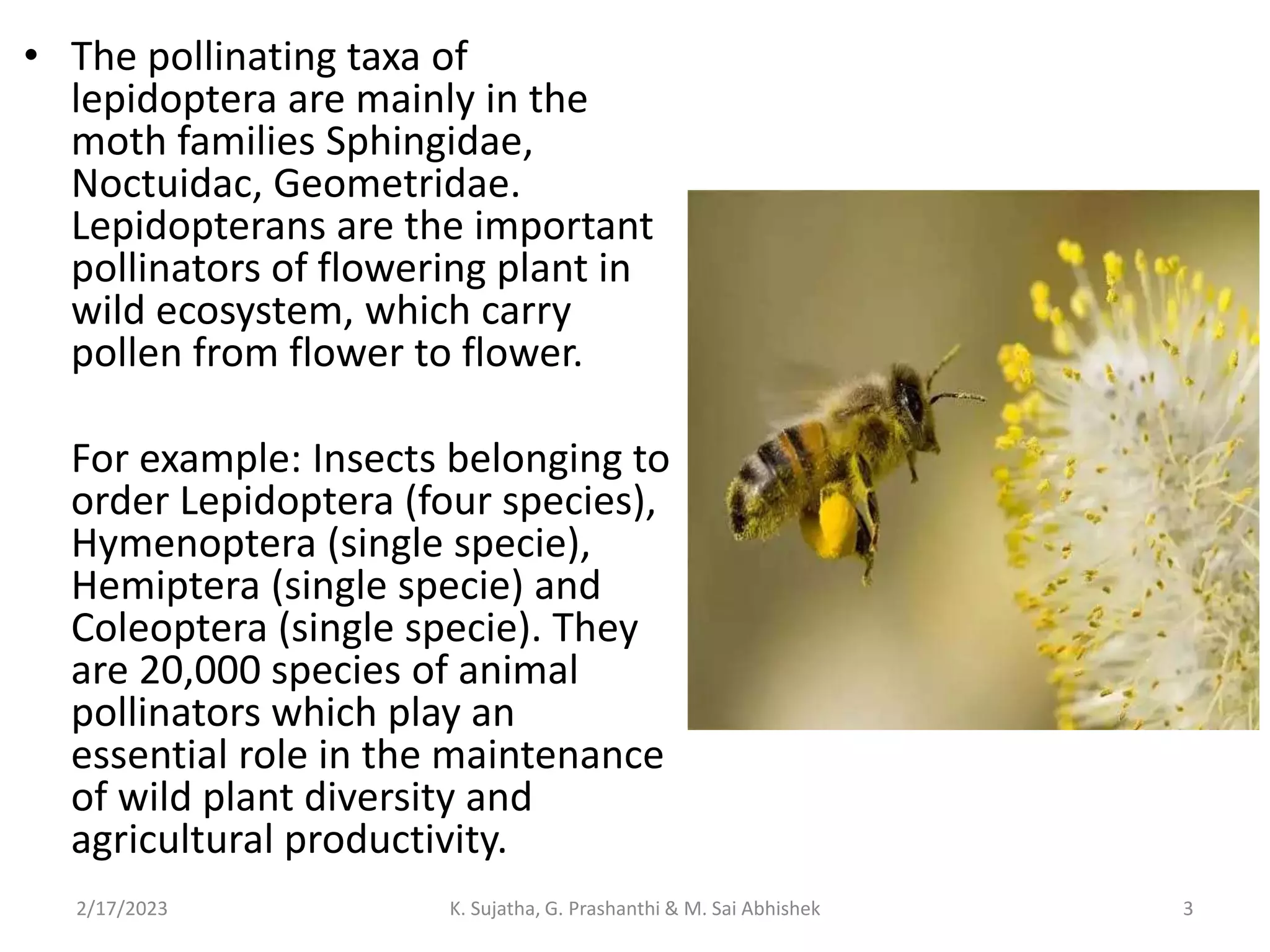 Pollination of crops by Insects.pptx