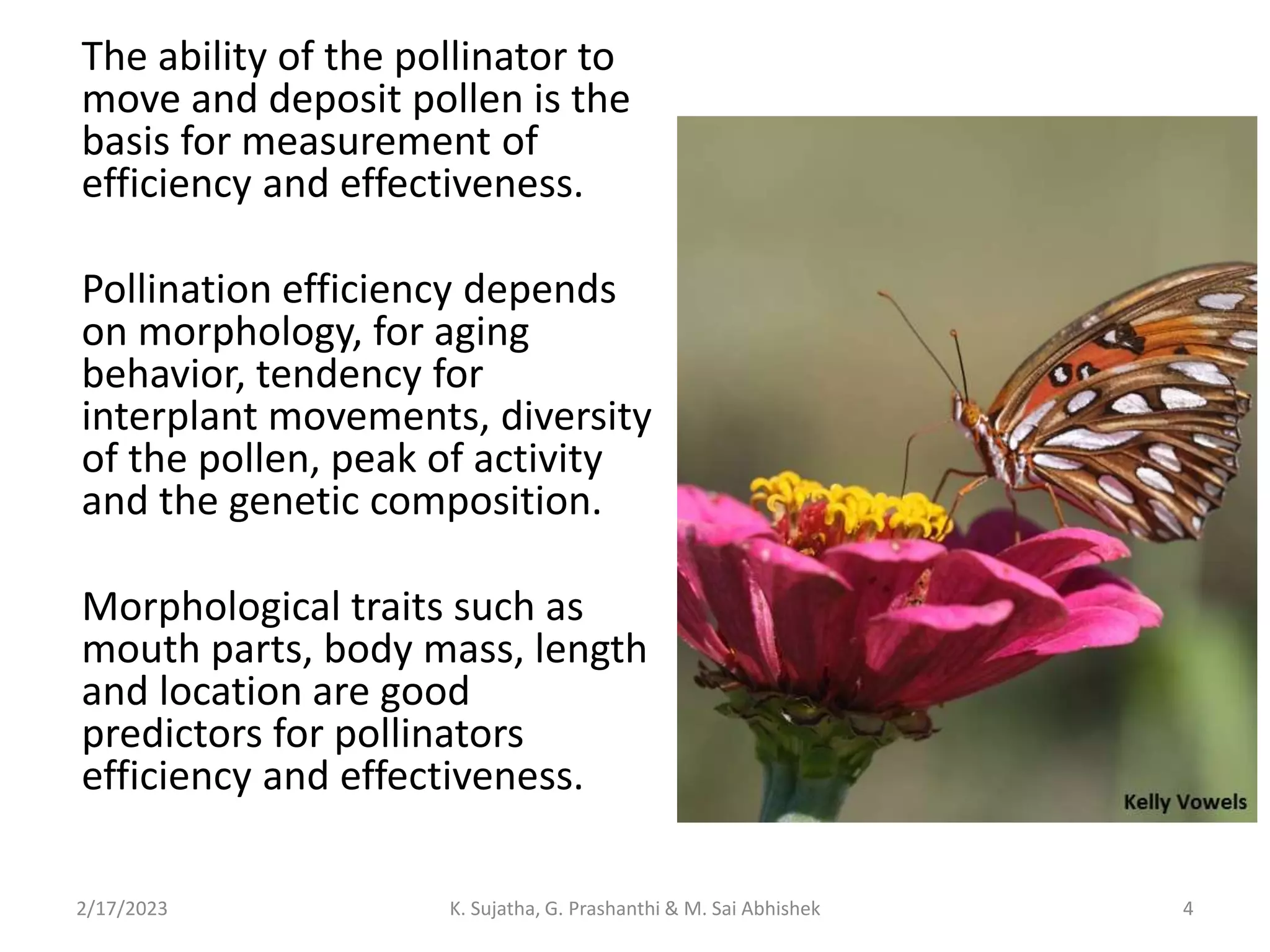 Pollination of crops by Insects.pptx
