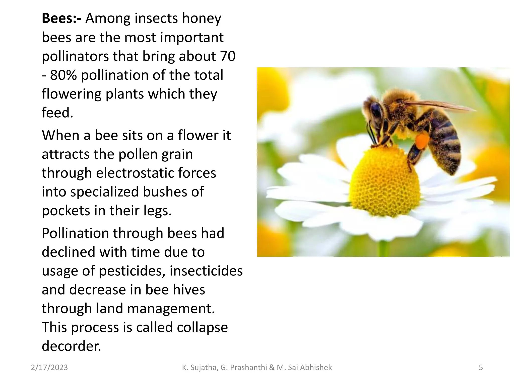 Pollination of crops by Insects.pptx