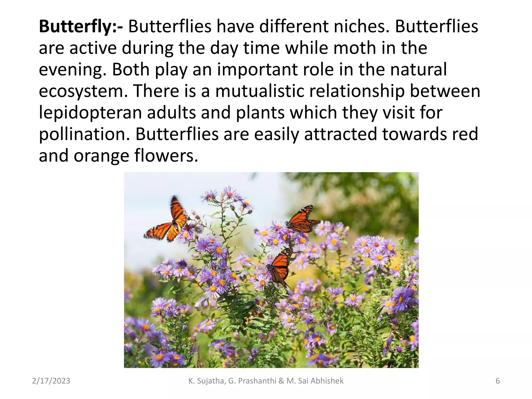 Pollination of crops by Insects.pptx