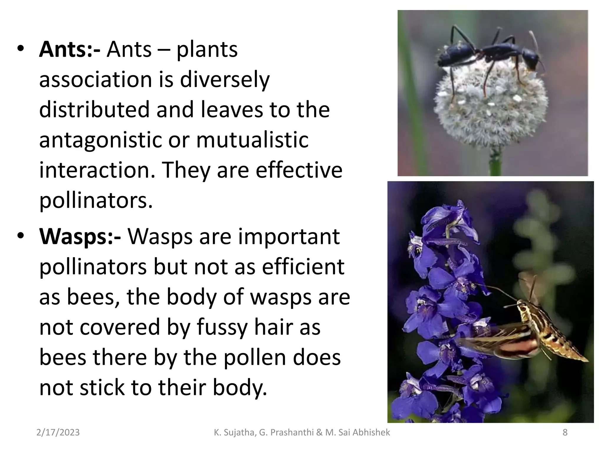 Pollination of crops by Insects.pptx