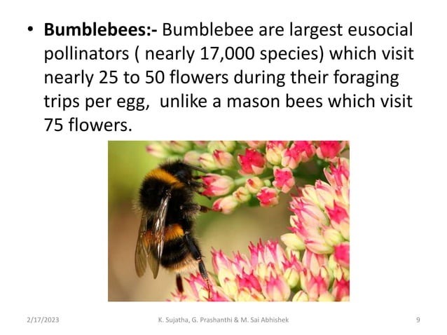 Pollination of crops by Insects.pptx