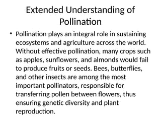 Pollination_of_Flowers_Presentation_Expanded.pptx