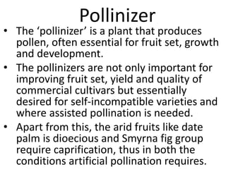 pollinations polinator, pollinizers.pptx