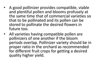 pollinations polinator, pollinizers.pptx