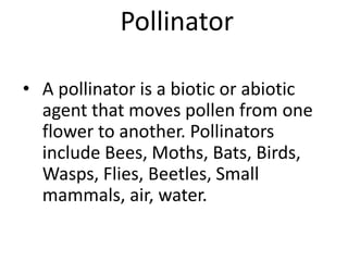 pollinations polinator, pollinizers.pptx