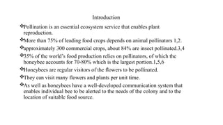 Pollination PowerPoint Presentation.pptx