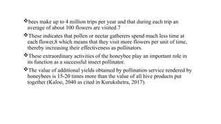 Pollination PowerPoint Presentation.pptx