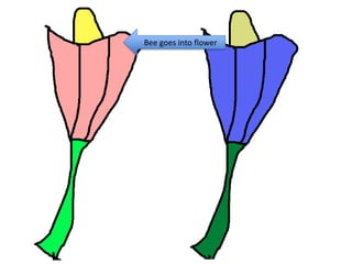 Pollination ppt | PPTX