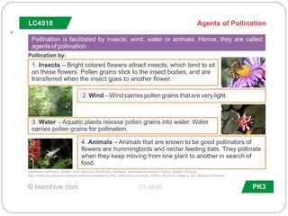 Pollination ppt | PPT