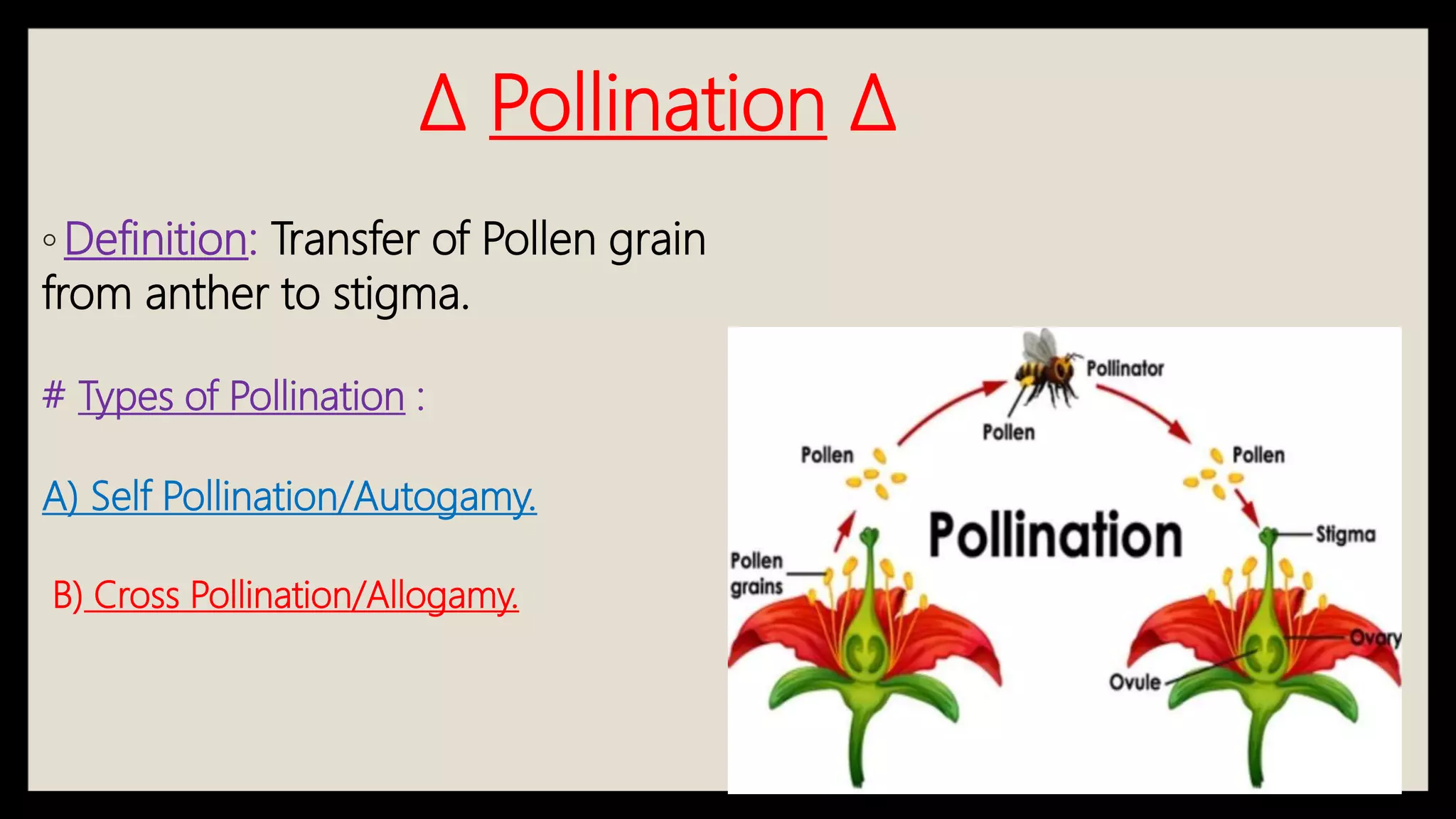 Pollination ppt^ | PPT