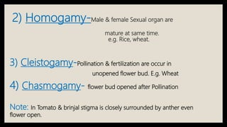 Pollination ppt^ | PPT