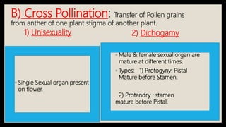 Pollination ppt^ | PPT
