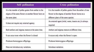 Pollination ppt^ | PPTX
