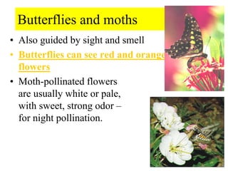 pollination ppt made by vishal chaudhary.pdf