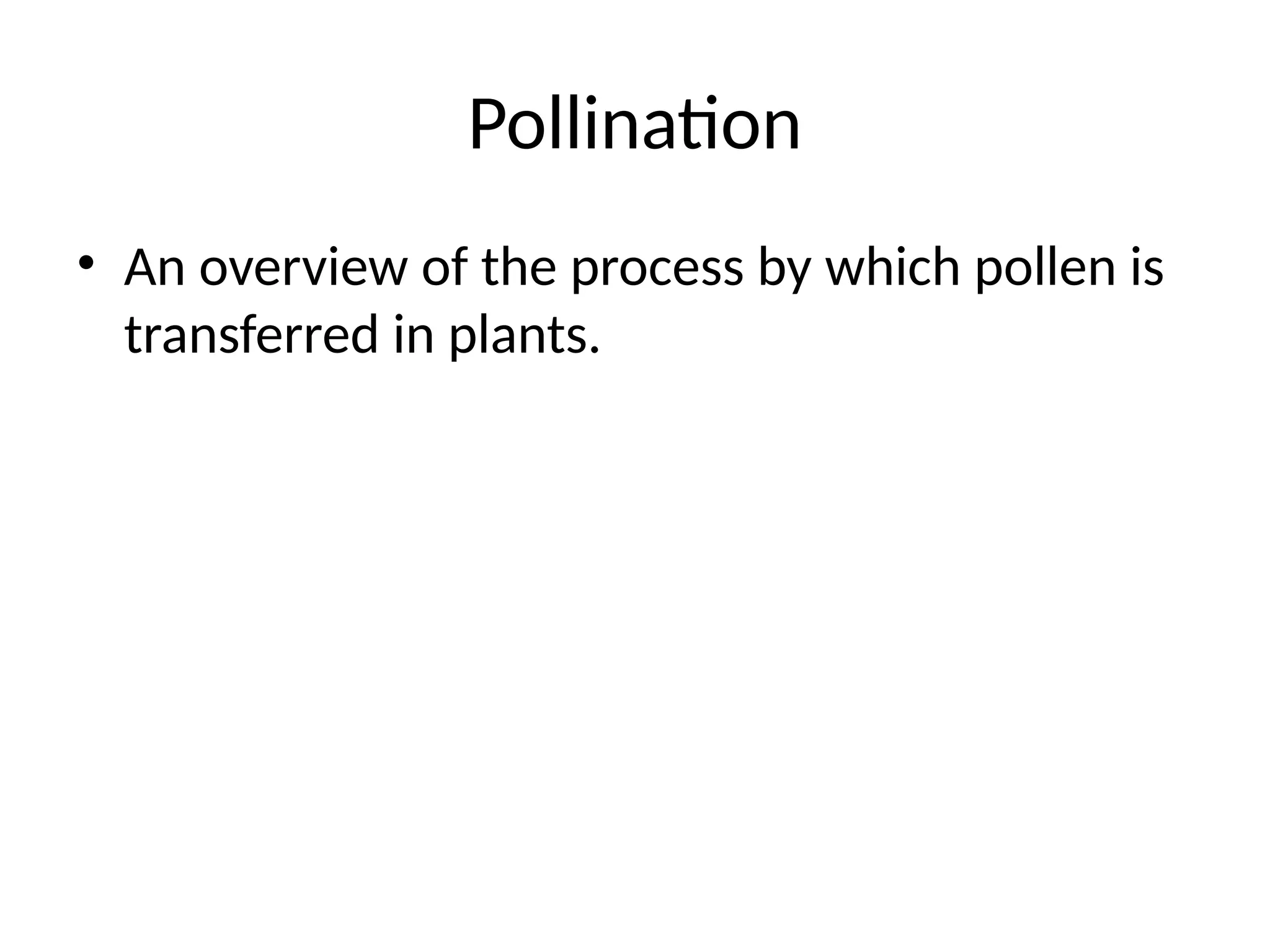 Pollination_Presentation.pptx pollination | PPTX