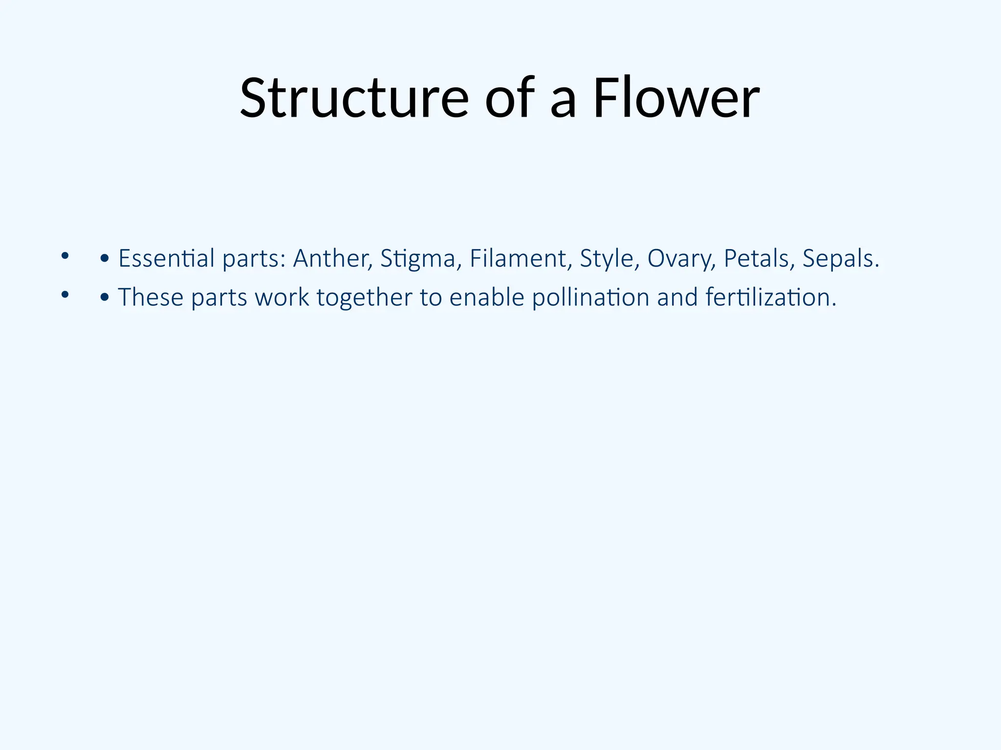 Pollination_Presentation_Customized.pptx