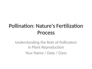 Pollination_Presentation_Customized.pptx